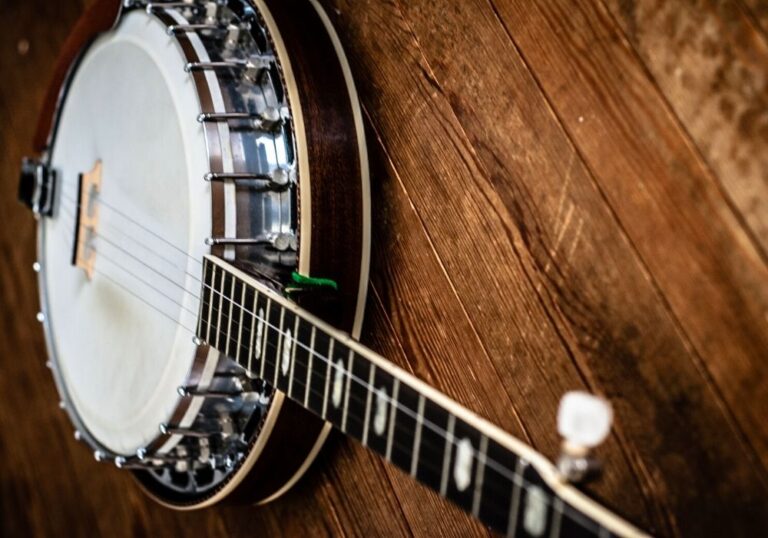 Best Bluegrass Banjo (2023 Buyer's Guide) - Into Strings