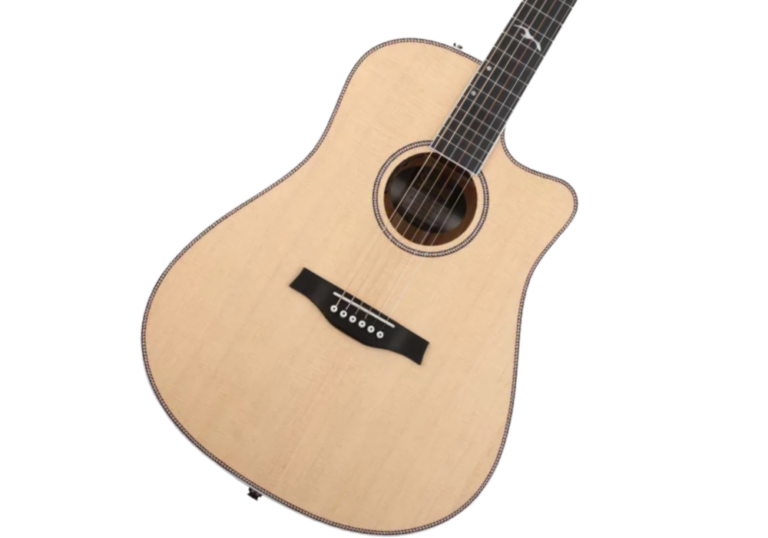Seagull Artist Studio CW EQ Acoustic Guitar Review (Hands-On & In-Depth ...